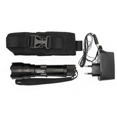 Zenitco «Zenitka-2D» Flashlight | 4Shooters.com